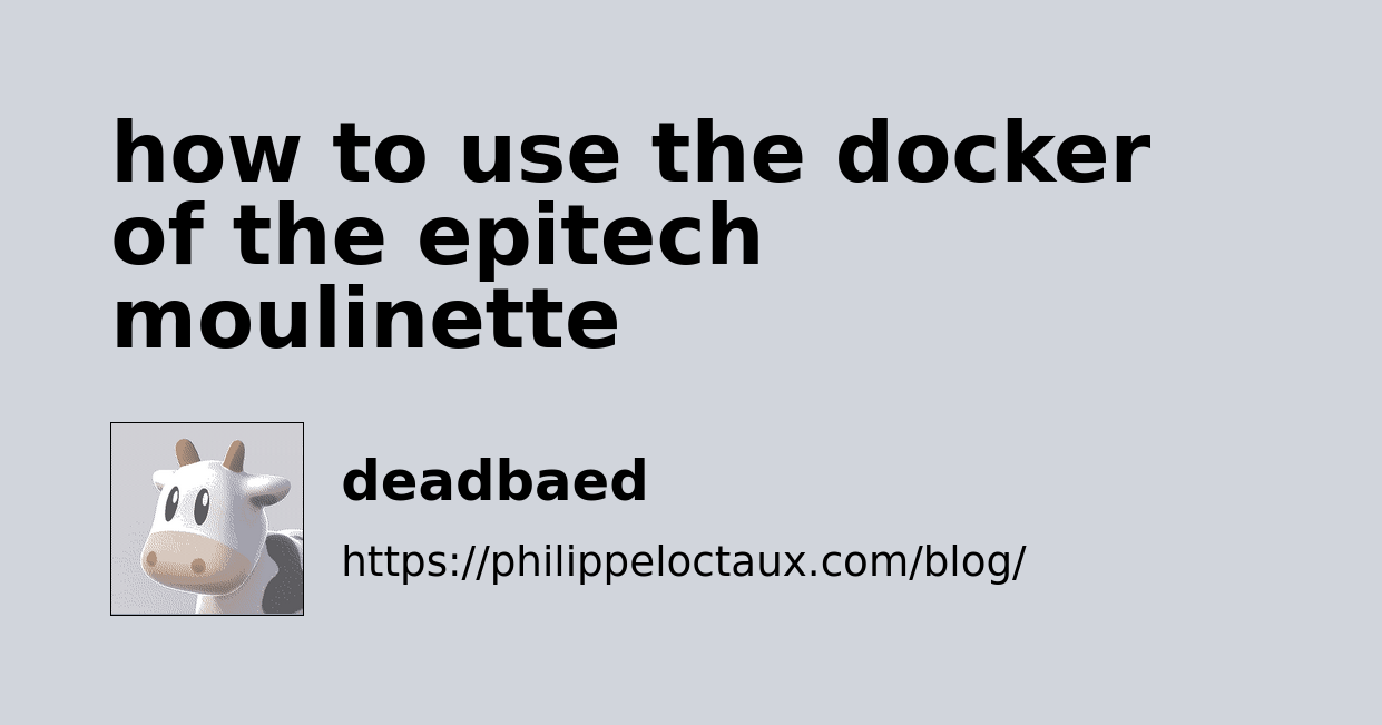 how to use the docker of the epitech moulinette - deadbaed